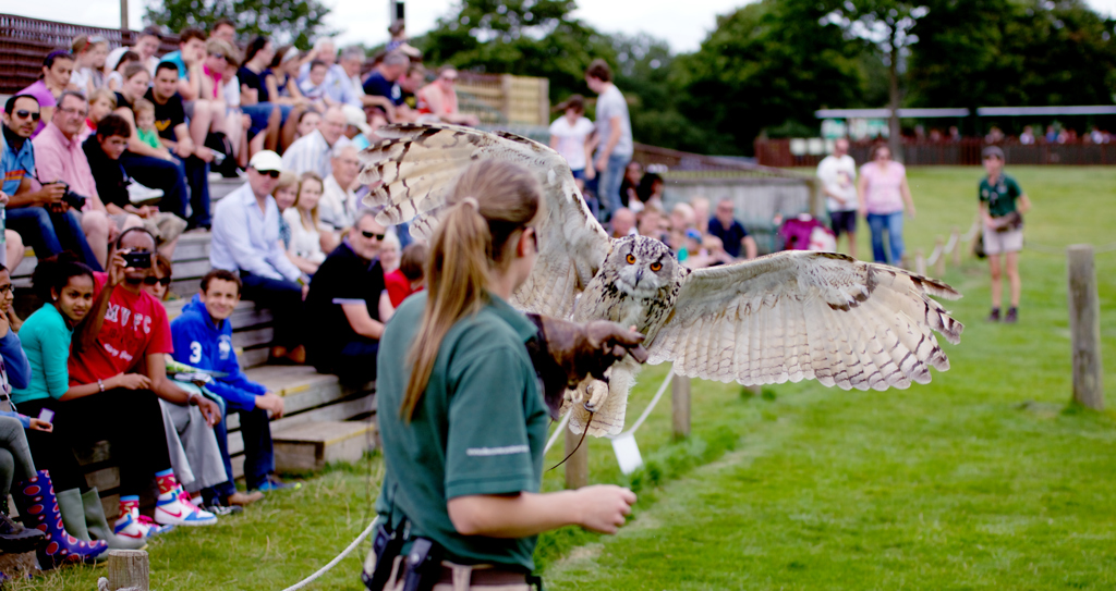 Animal Behaviour and Training | Woburn Safari Park
