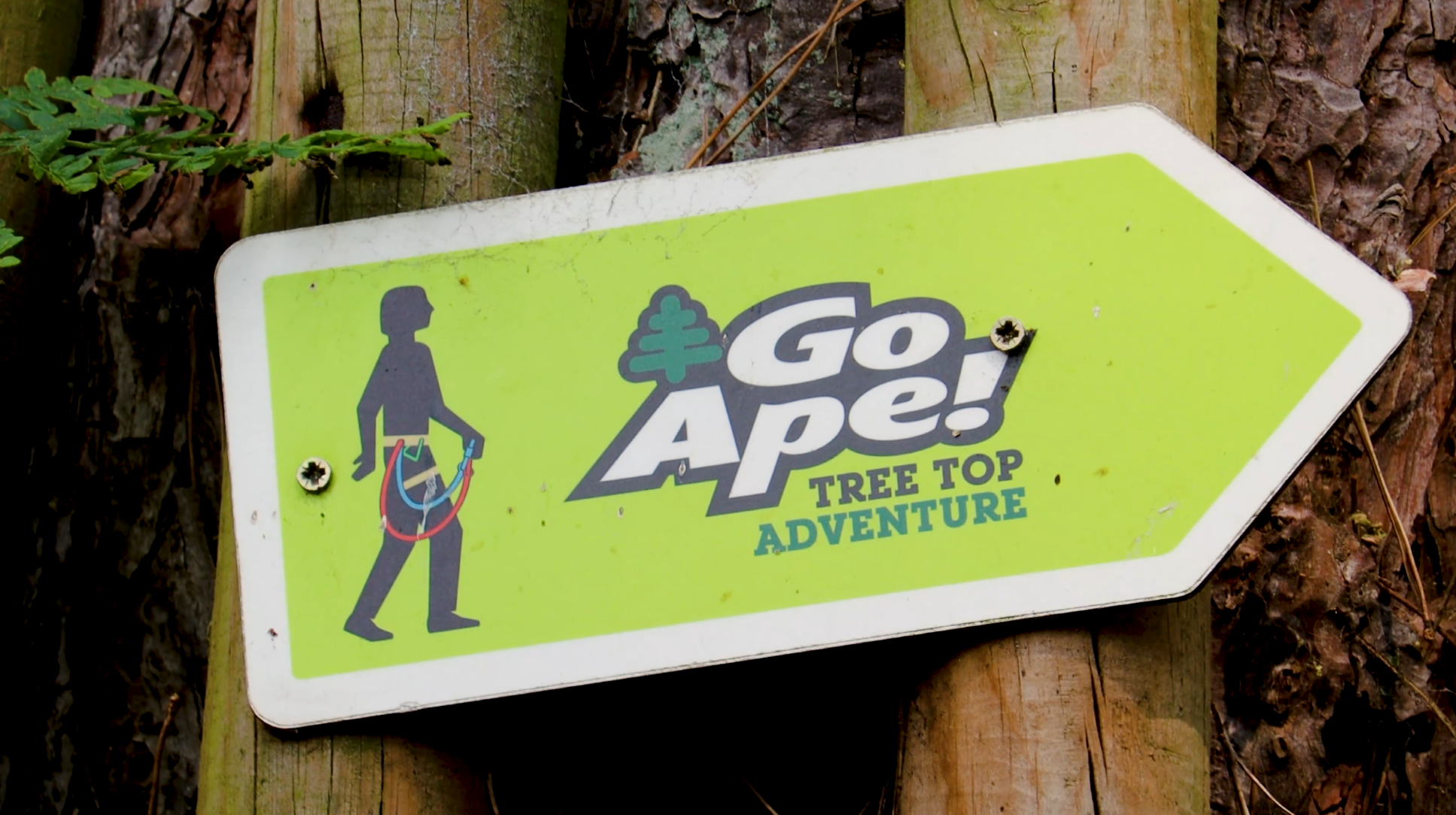 Go Ape Group Package | Woburn Safari Park
