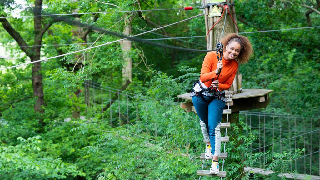 Go Ape Tree Top Adventure | Woburn Safari Park