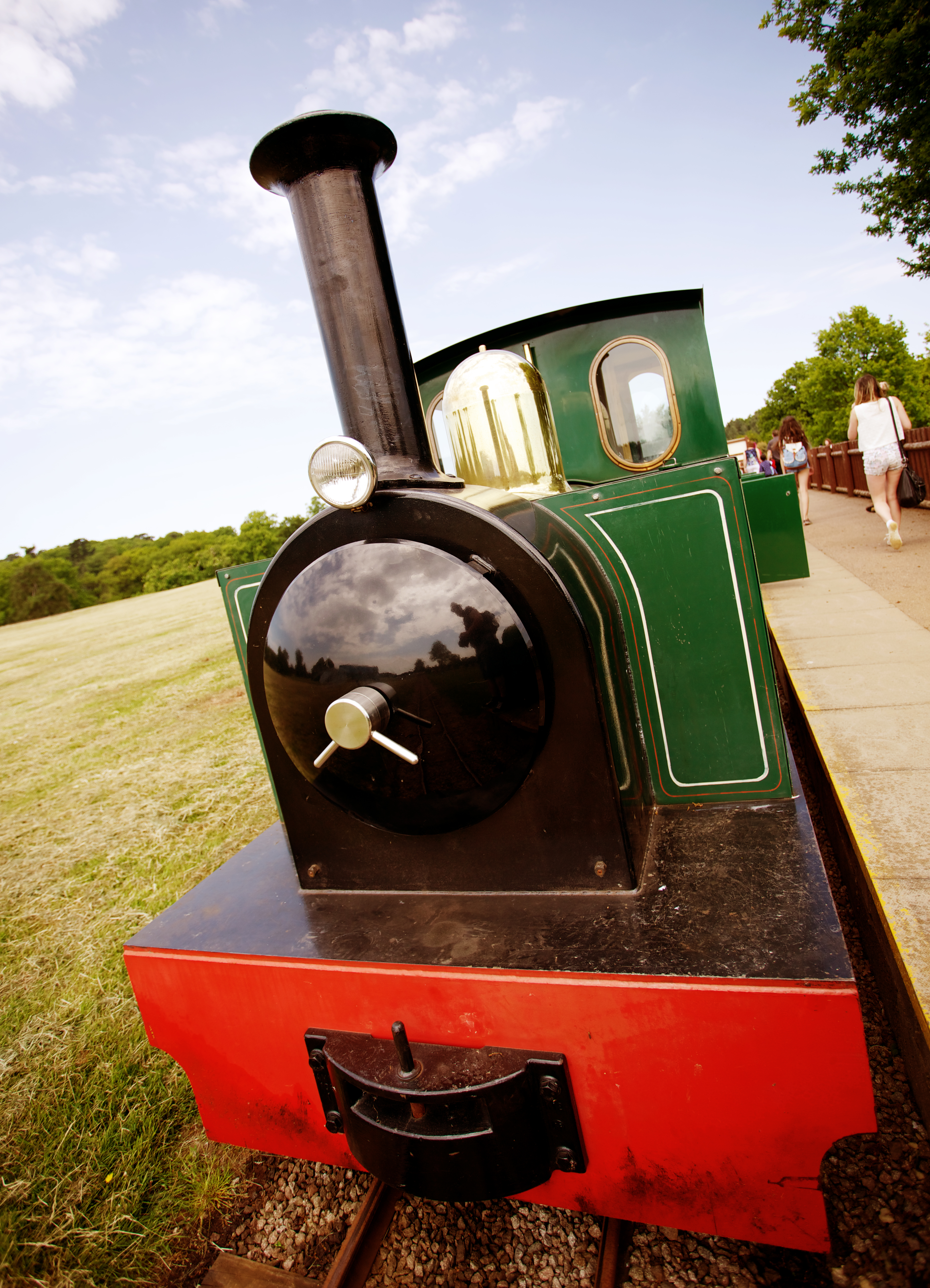 Animal Experiences | Venue Hire | Woburn Safari Park