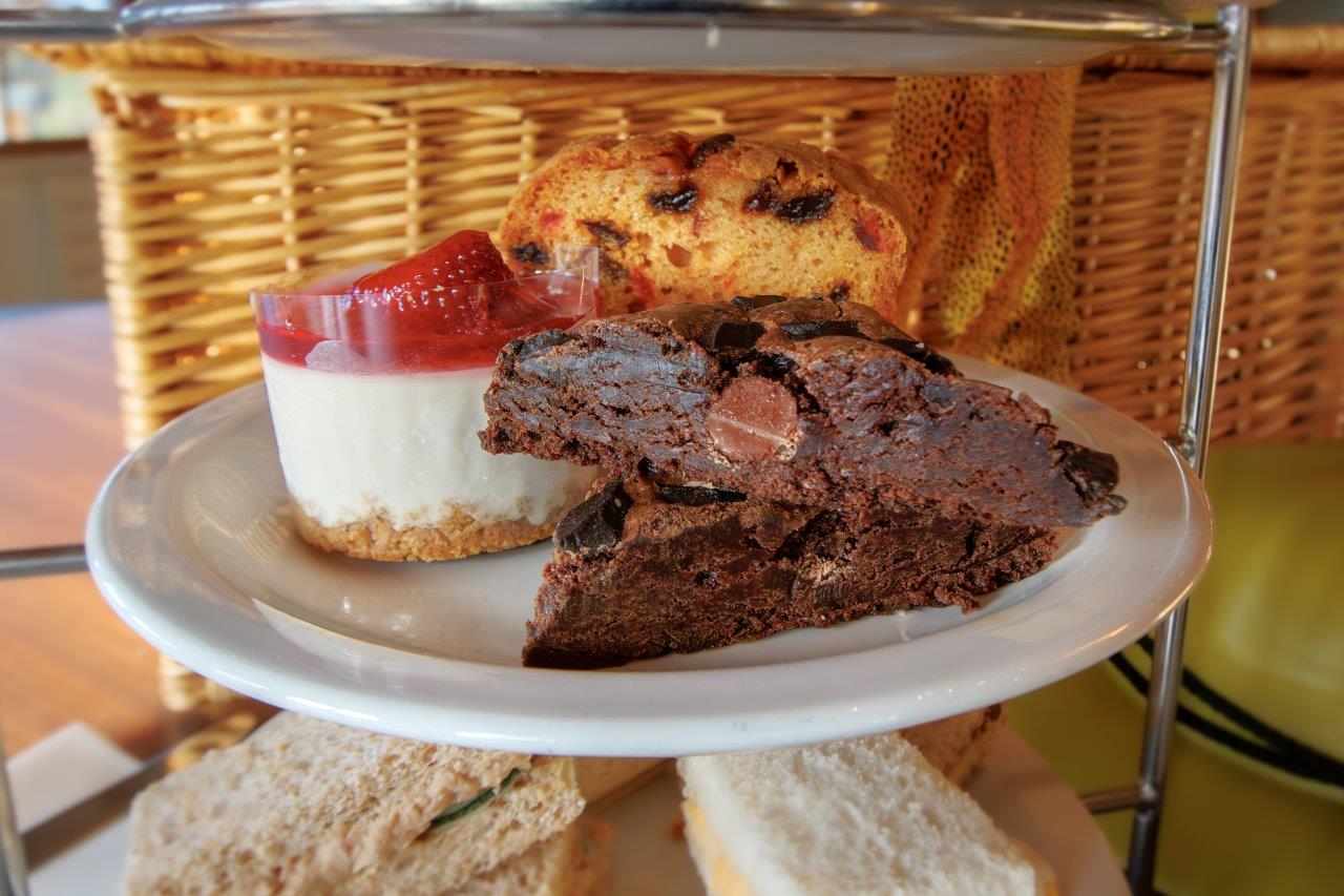 Amazing gifts for animal lovers | Woburn Safari Park