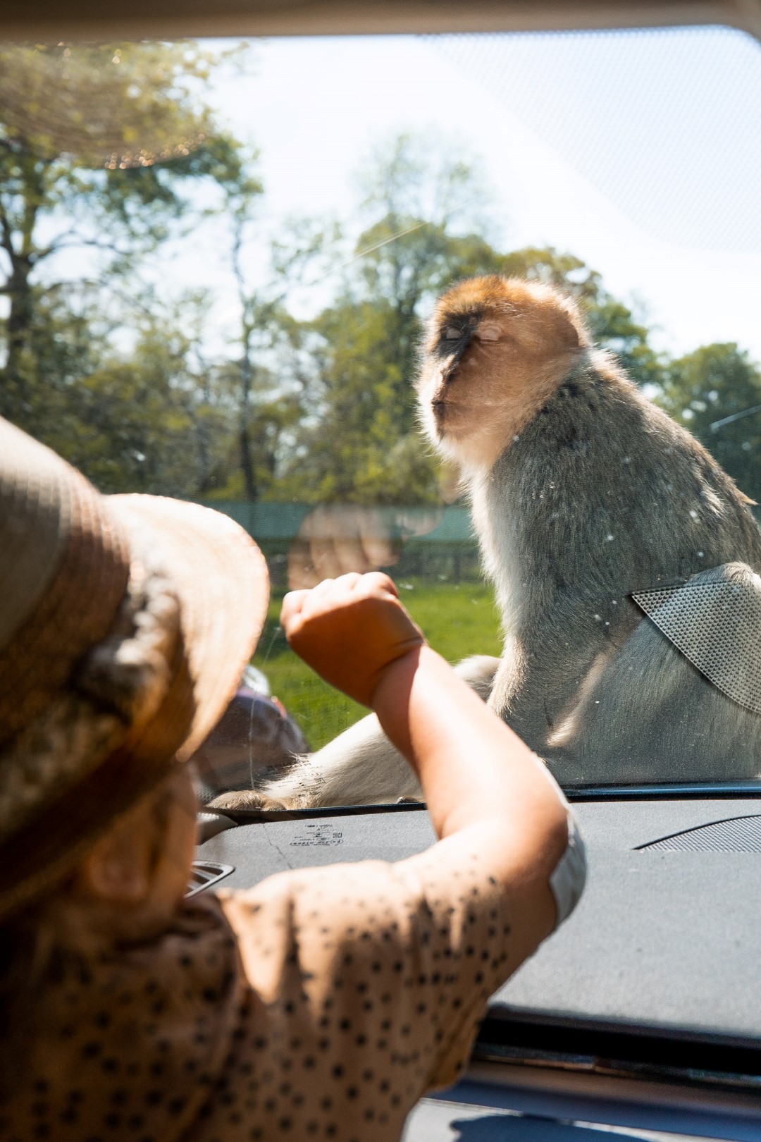 Book Your Adventure Today | Woburn Safari Park Book Your Adventure Today | Woburn Safari Park