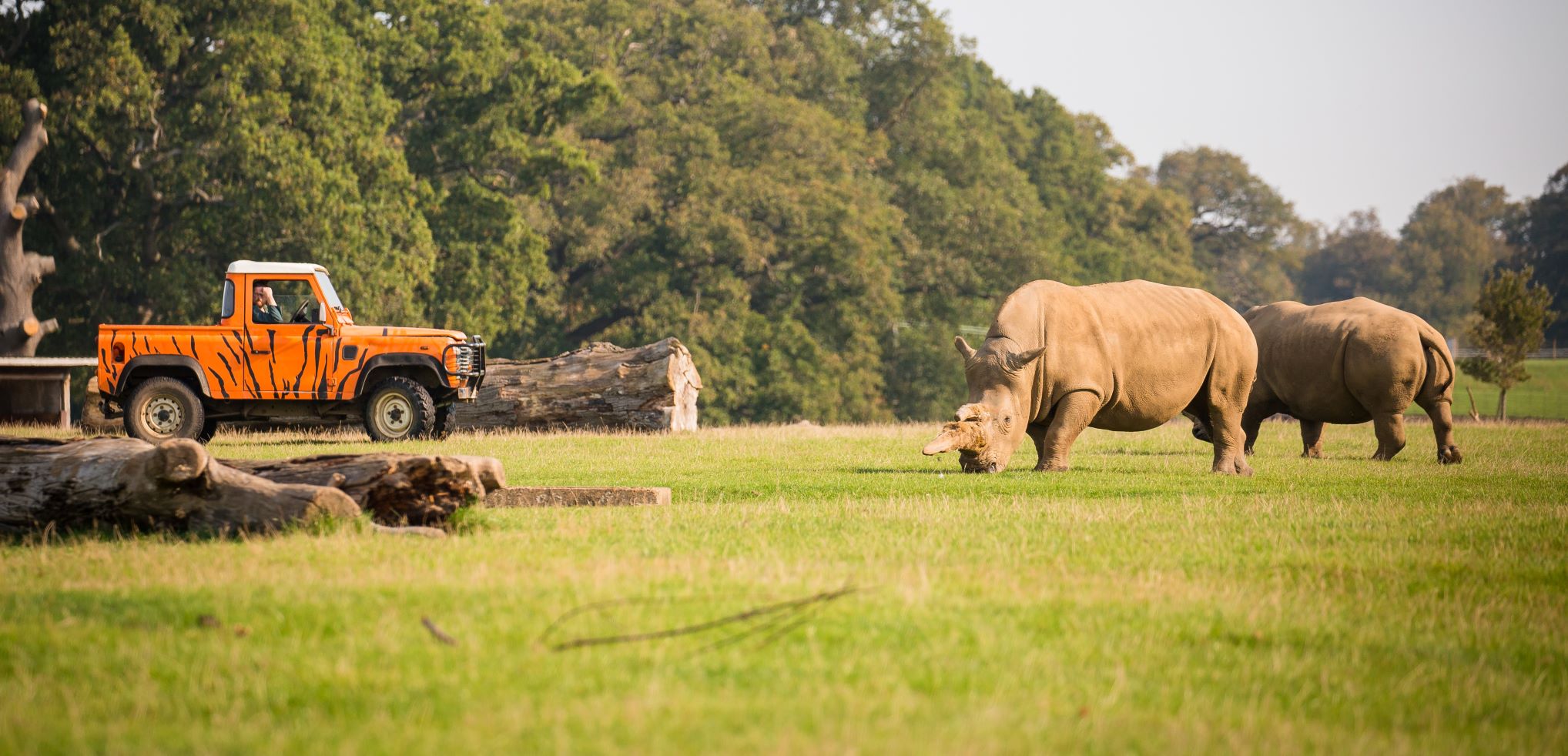 Plan Your Day Out | Woburn Safari Park