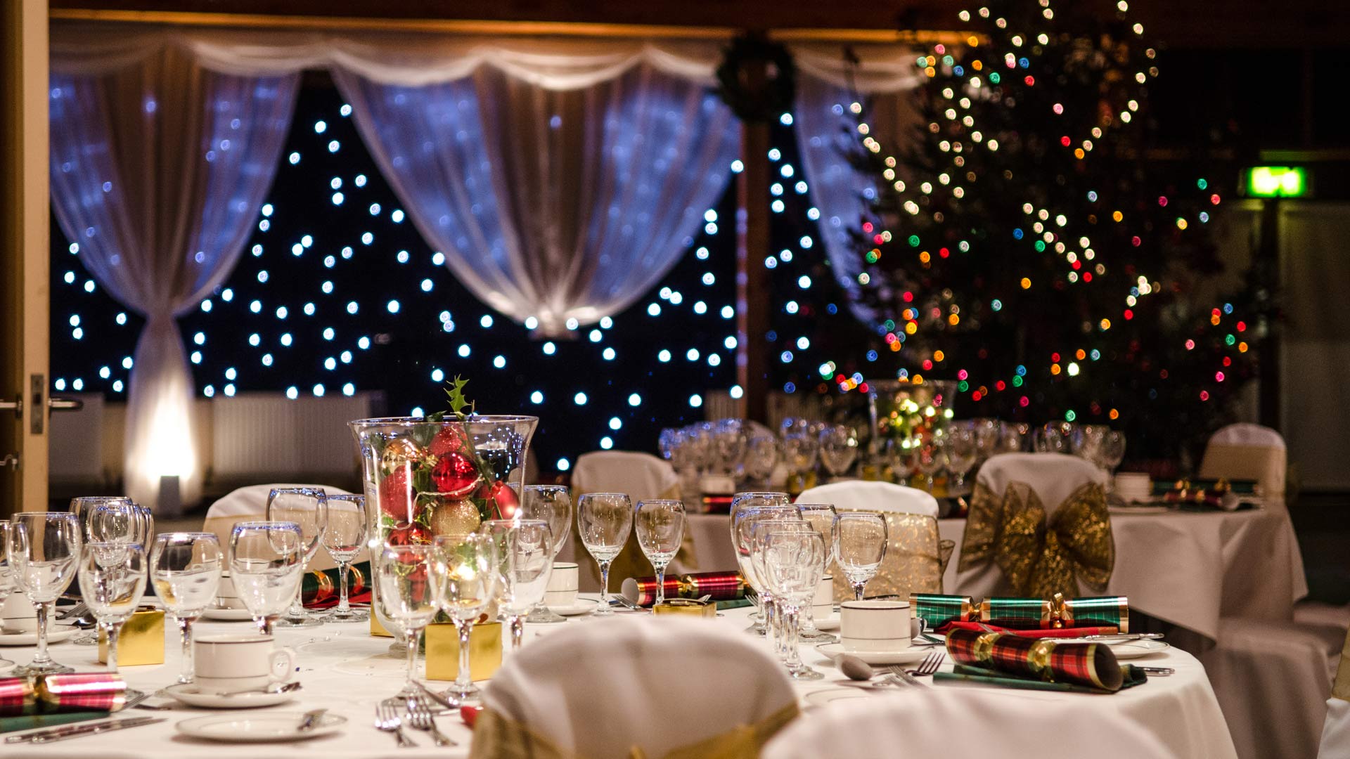 Christmas Parties | Woburn Safari Park