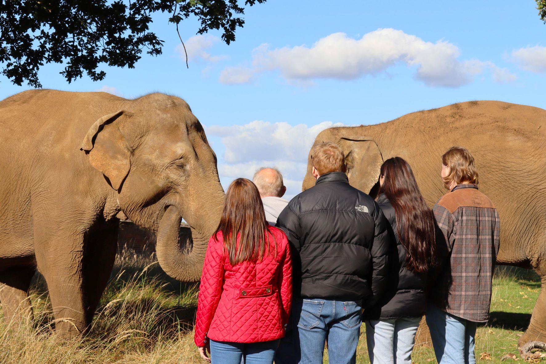 Book Your Adventure Today | Woburn Safari Park Book Your Adventure Today | Woburn Safari Park