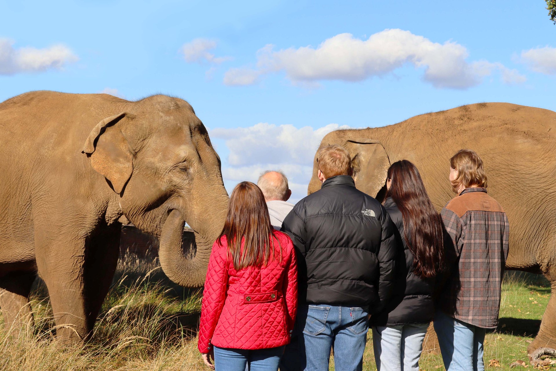 VIP Wildlife Experiences | Woburn Safari Park