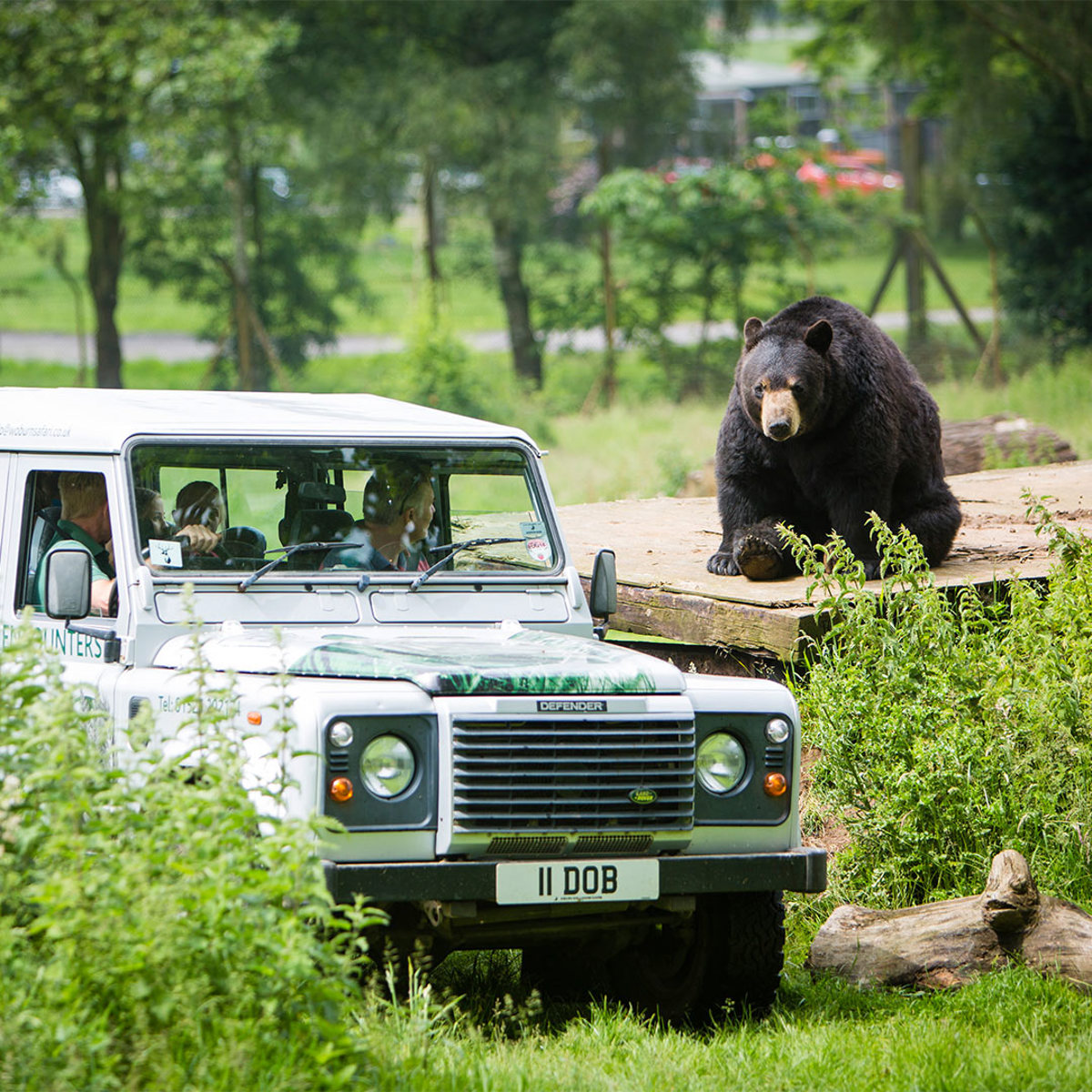 Days Out on Safari | Woburn Safari Park