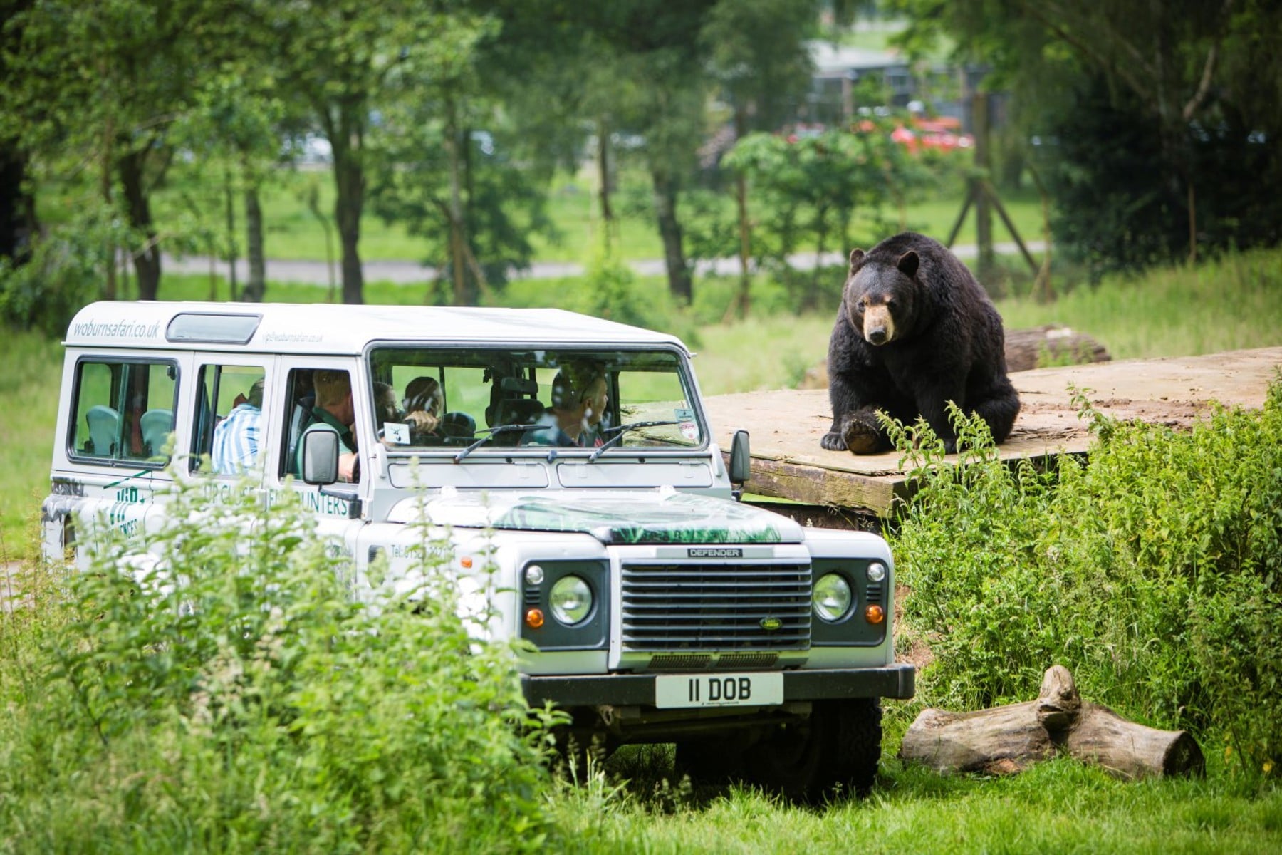 VIP Wildlife Experiences | Woburn Safari Park